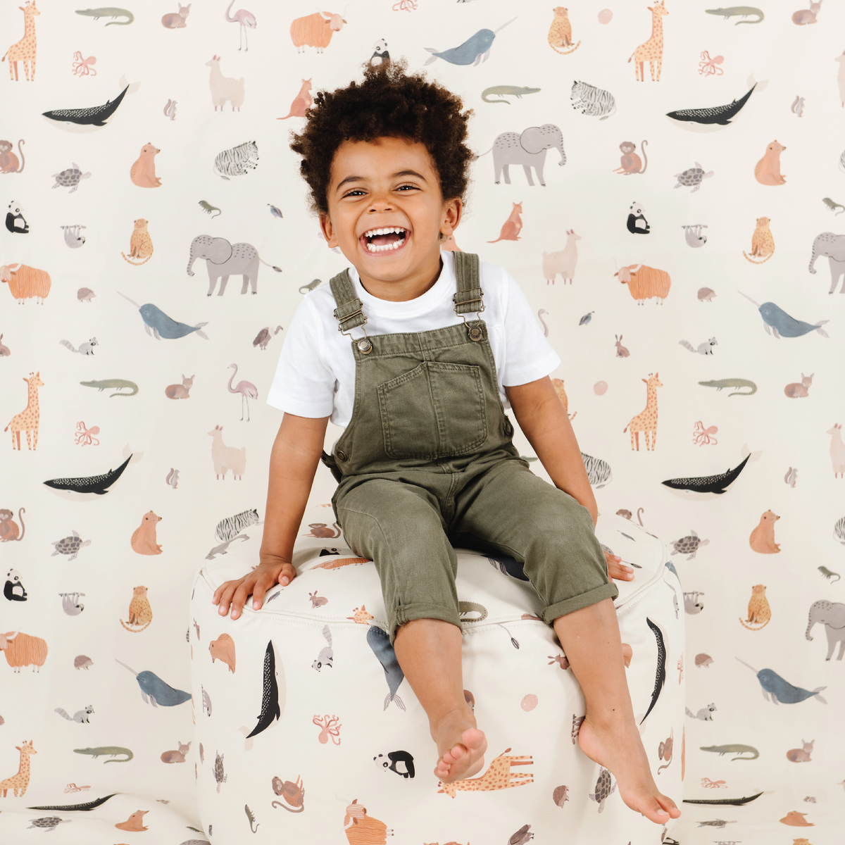 All About Animal Alphabet + Menagerie – Gathre