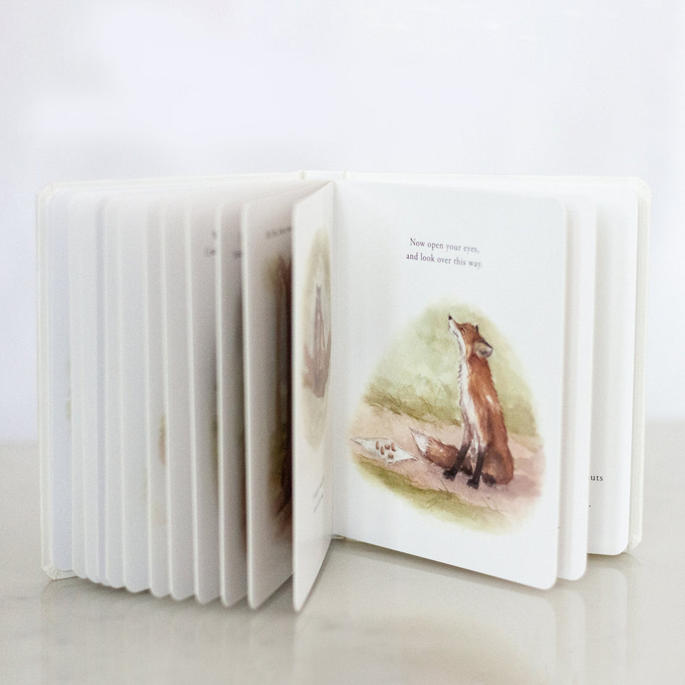 Our Little Adventures Book Set – Gathre