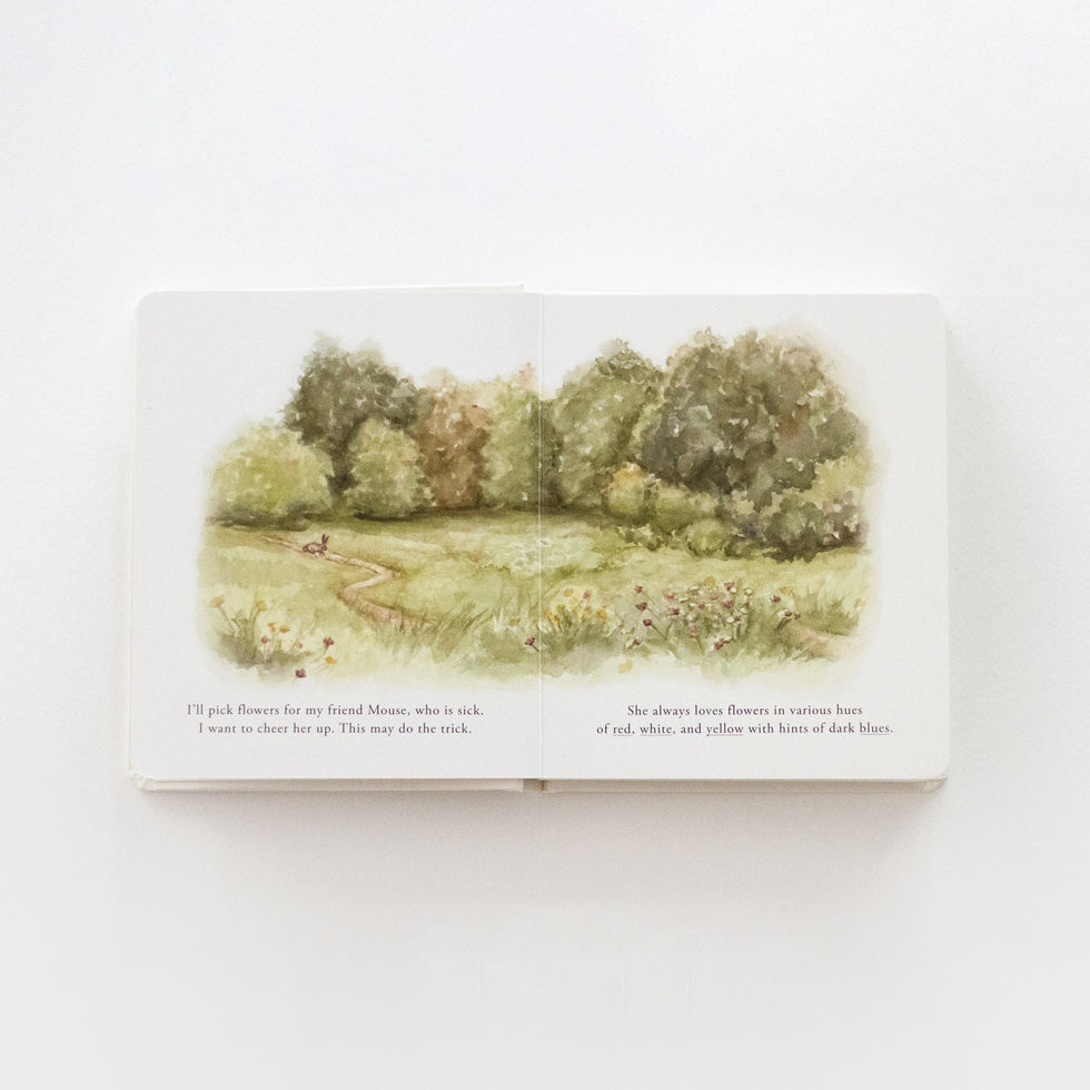 Our Little Adventures Book Set – Gathre
